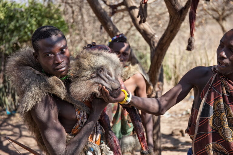 The History And Origin Of Hadzabe People | JMBASHA